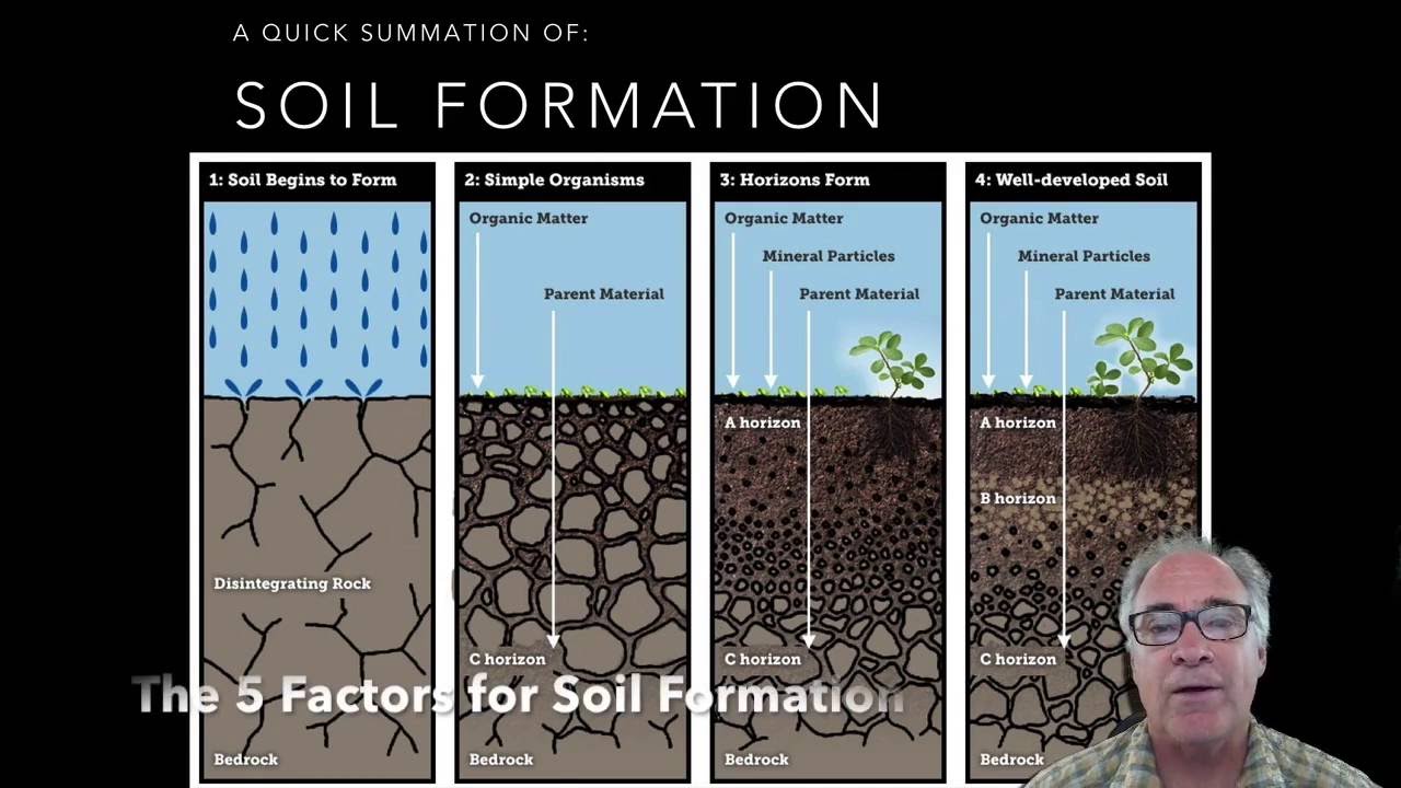 Soil Formation: 5 Soil Factors Part 1