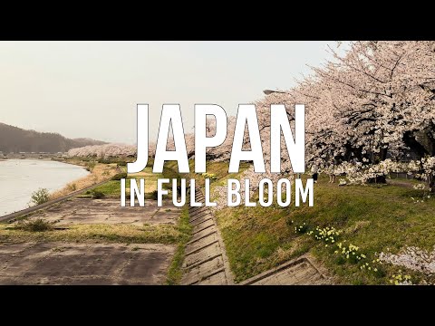 Japan: Scenery of Spring