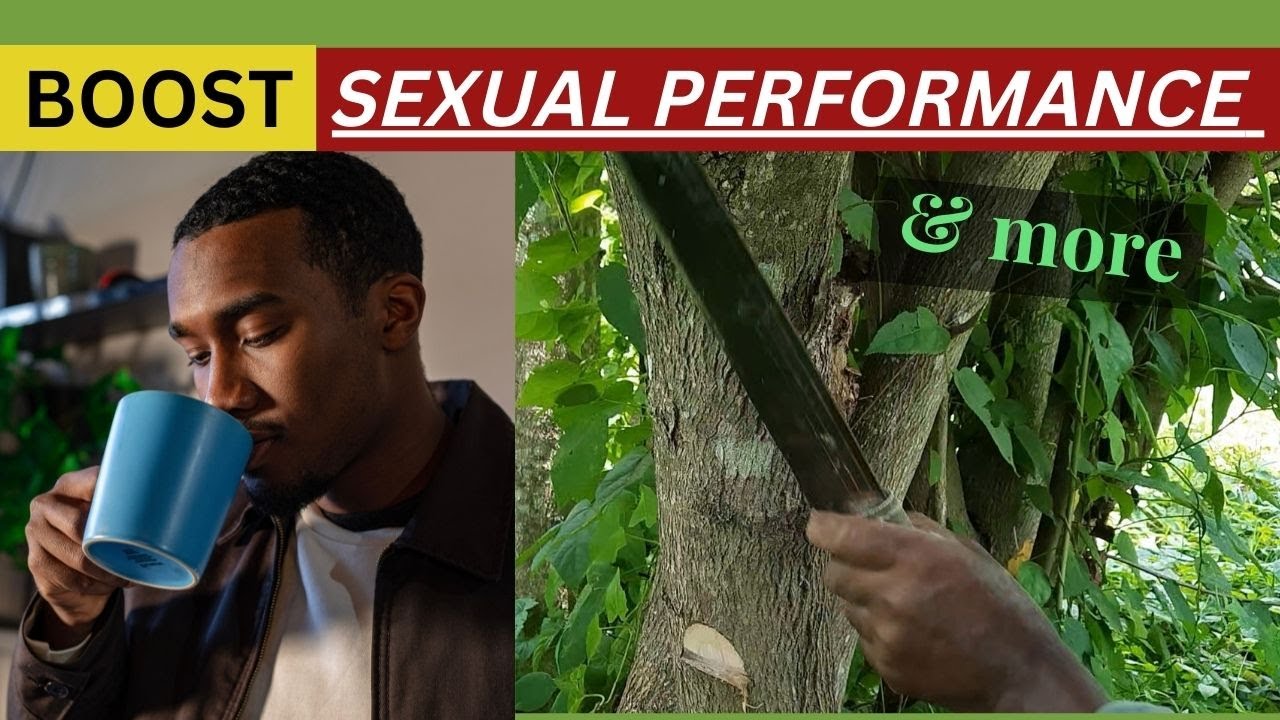 JAMAICAN BAS CEDAR TREE (Guazuma Ulmifolia) - Uses in TRADITIONAL MEDICINE