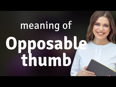 Understanding the "Opposable Thumb": A Key Human Feature