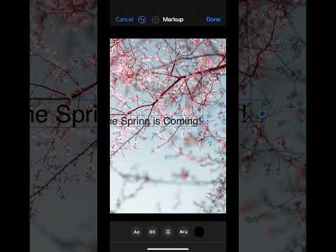 How to Add Text to Photo in Photos App on iPhone (2024)