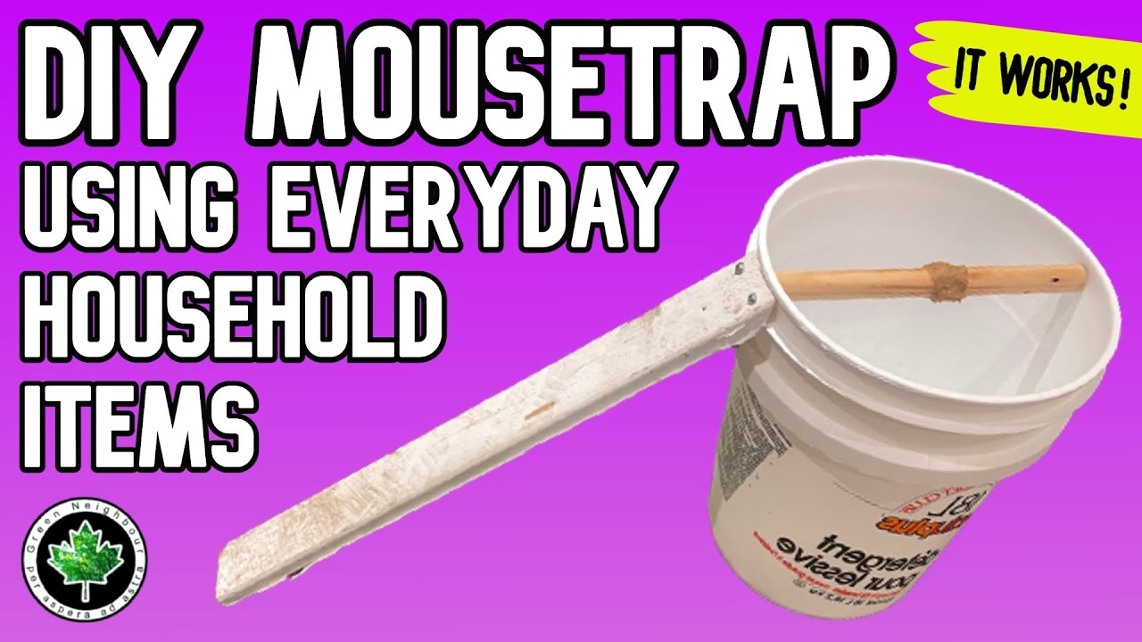 MAKE A LIVE MOUSETRAP Using Everyday Household Items