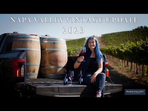 The Ultimate Napa Valley insider! Checking in on the 2023 Vintage with some of Napa's greatest
