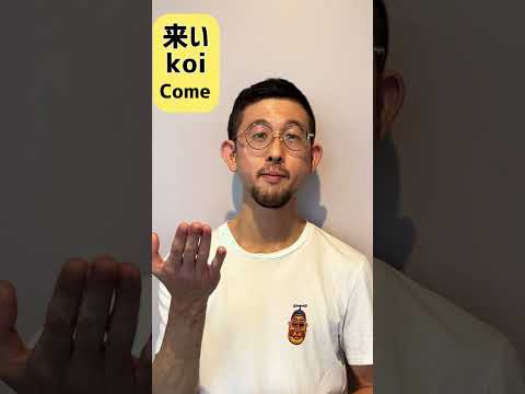 こい(koi) in Japanese?! #Shorts