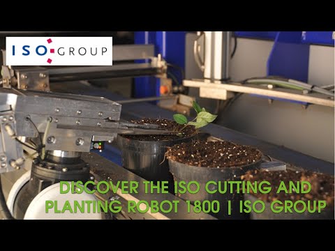 ISO Cutting and Planting robot 1800 | ISO Group