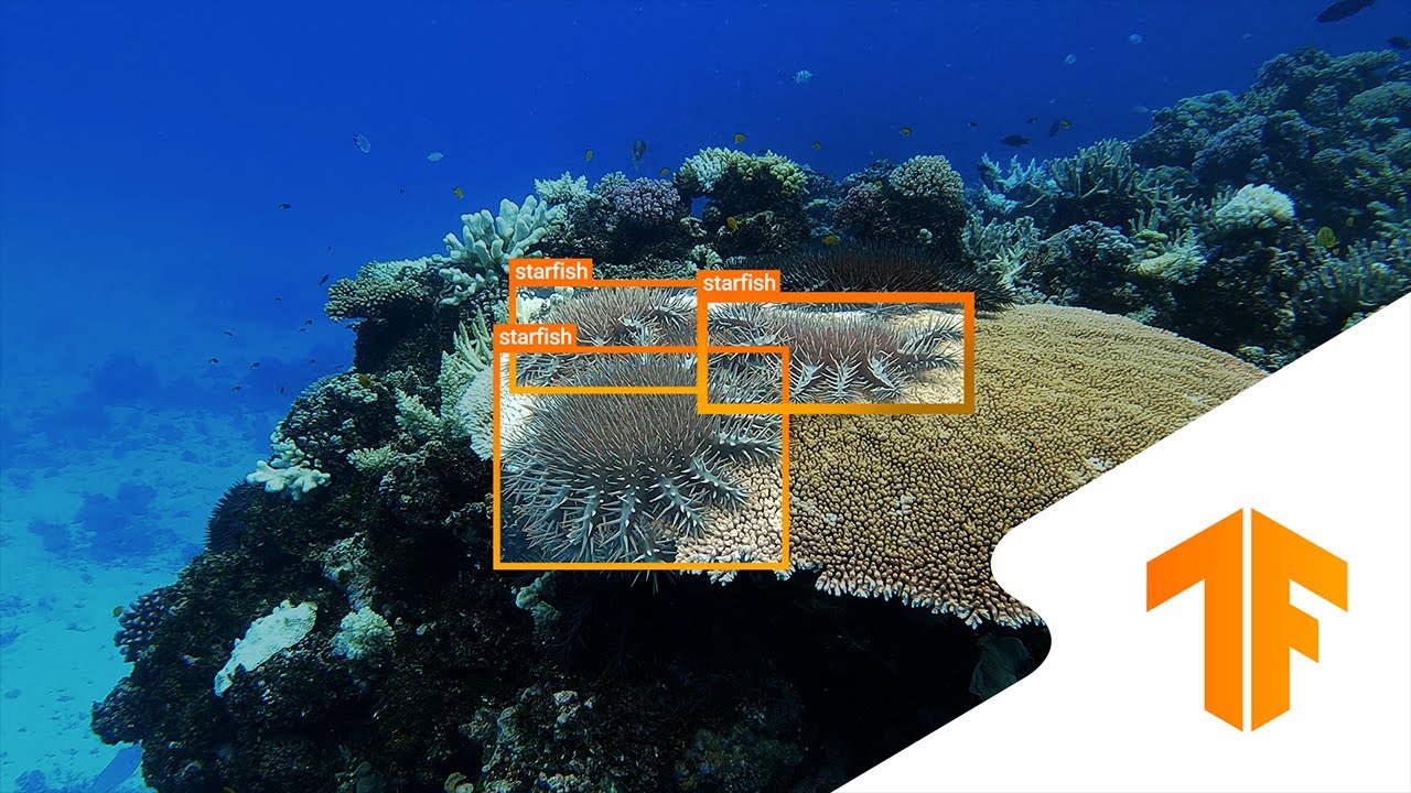 Tim Davis, Co-Founder & President of Modular - Interview Series - Unite.AI