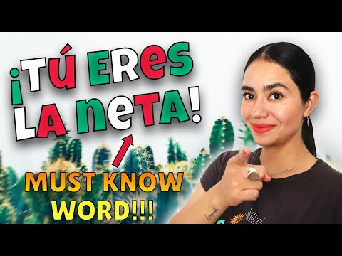 NETA: Super Useful Mexican Slang!