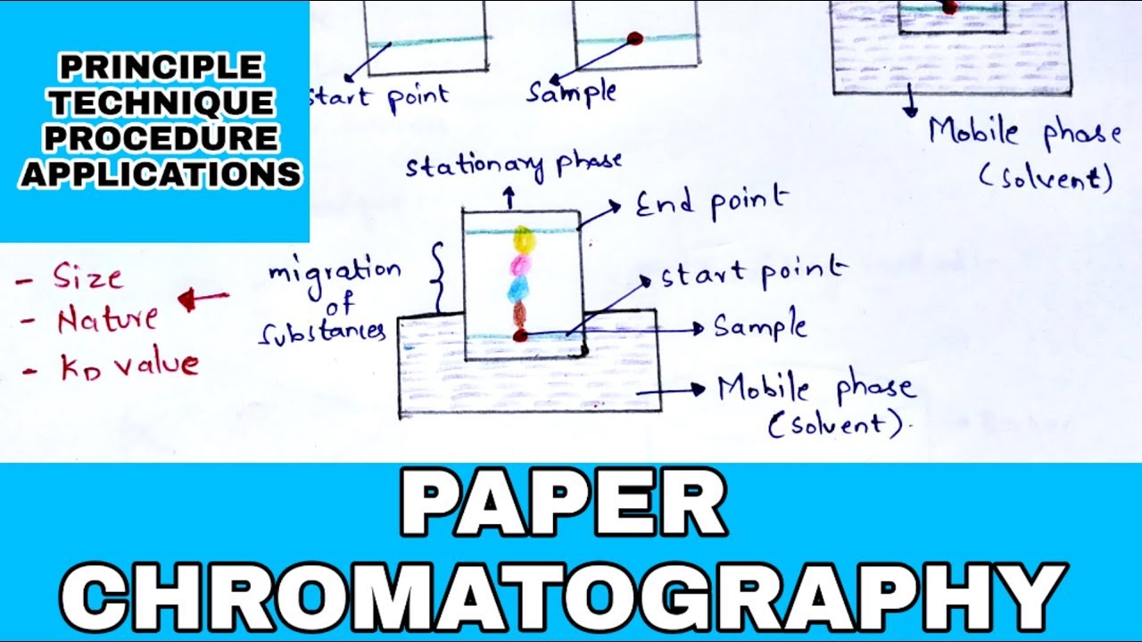 Paper chromatography | Principle | Procedure | Development techniques | Applications