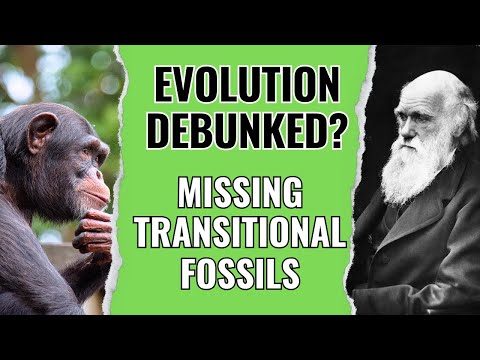 Evolution's Missing Link: The Lack of Transitional Fossils