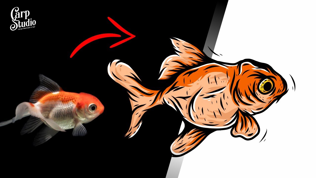 Drawing a vector GOLDFISH on adobe fresco | CARP STUDIO™