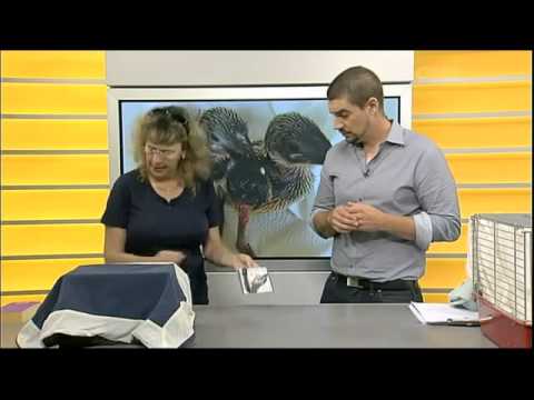 PetVision's Liberator on TVNZ's 'Good Morning' Show