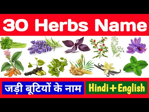 30 herbs name english to hindi, जड़ी बूटियों (औषधियों) के नाम, herbs name, uses, benefits, in hindi