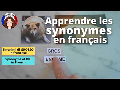 Learn the synonyms of BIG (gros) in French - video 70 - FR/IT/EN