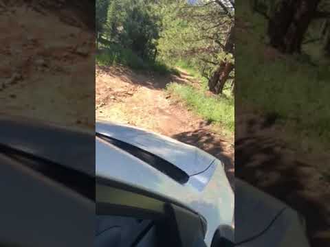 Gordon Gulch Dispersed Camping Area, CO | The Dyrt