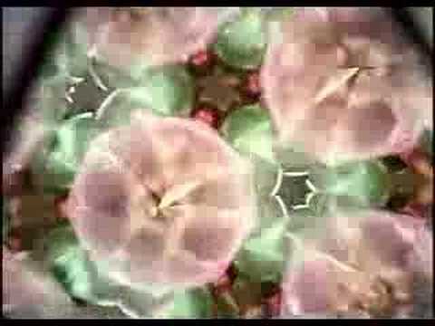 Kaleidoscope Video, Walls of Jericho, ALO