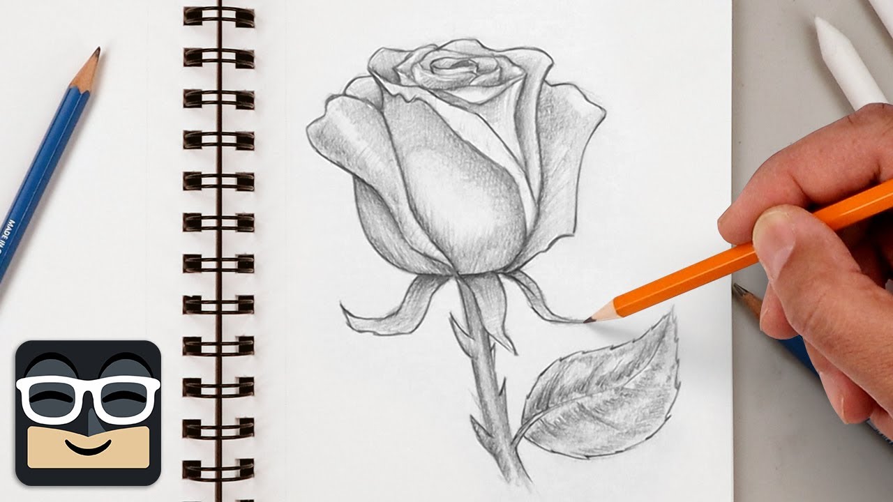 How to Draw a Realistic Rose | Step by Step Sketch Tutorial