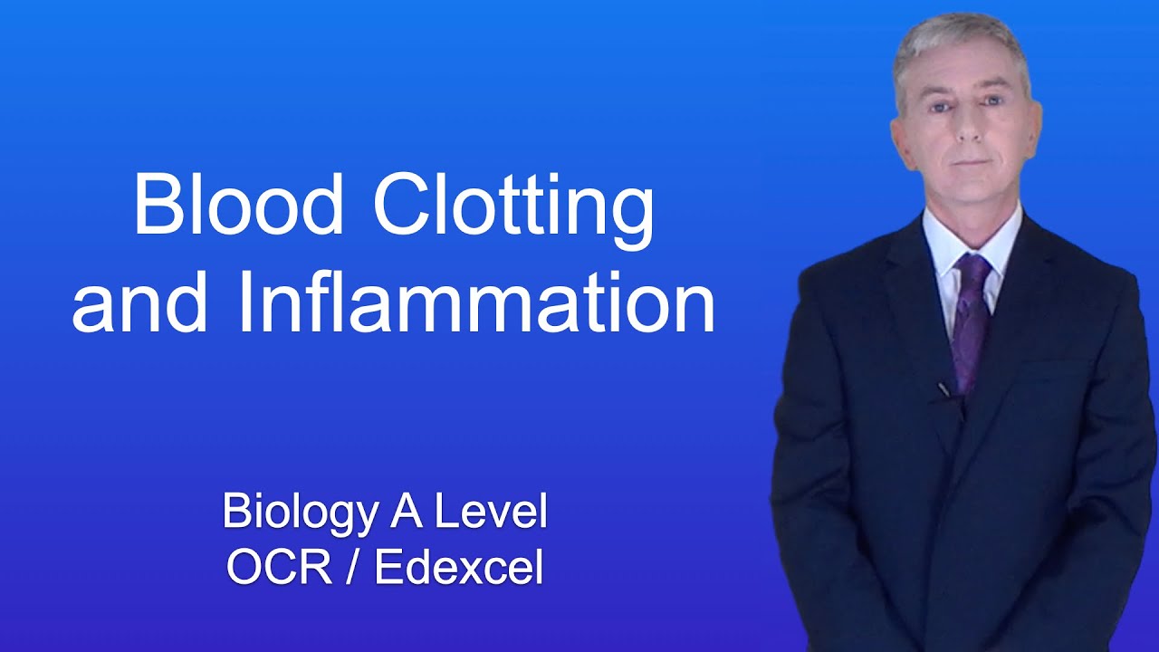 A Level Biology Revision 
