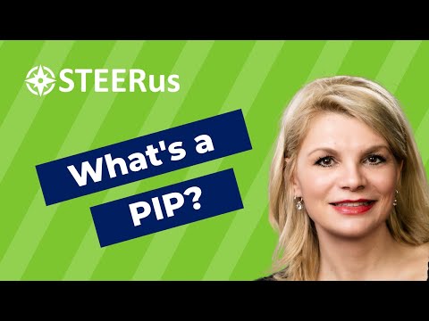 What is a PIP (Performance Improvement Plan)?