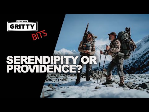 SERENDIPITY OR PROVIDENCE? #GrittyBits
