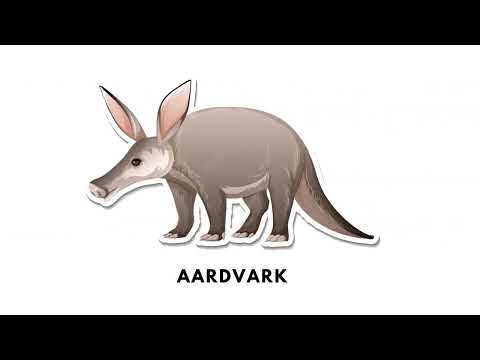 Aardvark (Word-meaning)