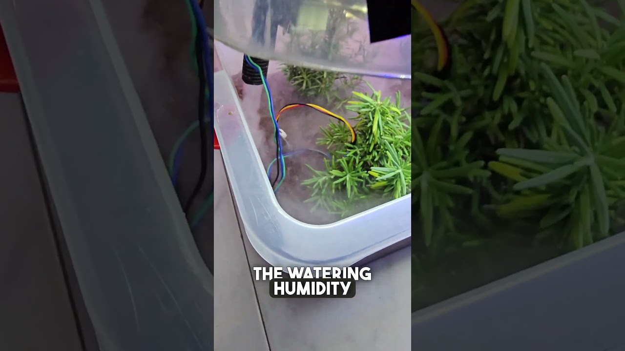 Grow any plant in any weather..