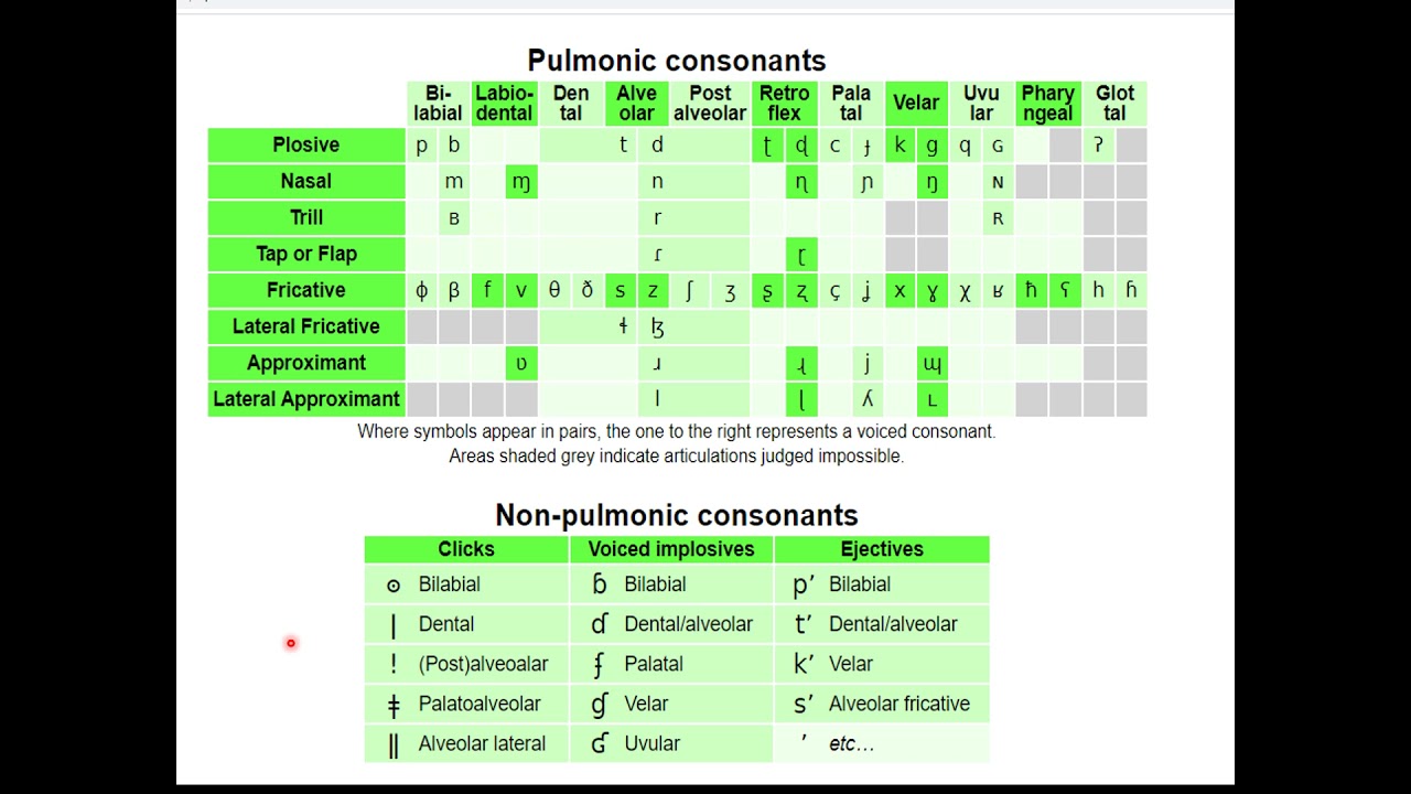 Understanding Vowels: A Deep Dive into the International Phonetic ...