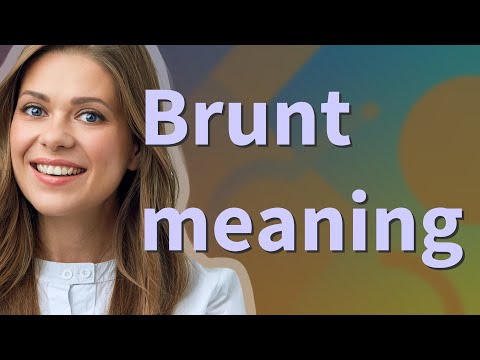 Brunt | meaning of Brunt