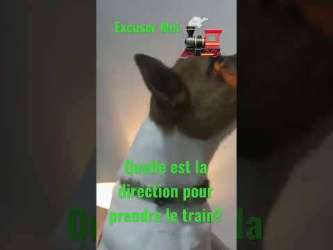 Speak French 🇫🇷 Directions to Train Station 🚂 Quelle est la direction pour aller à la gare?
