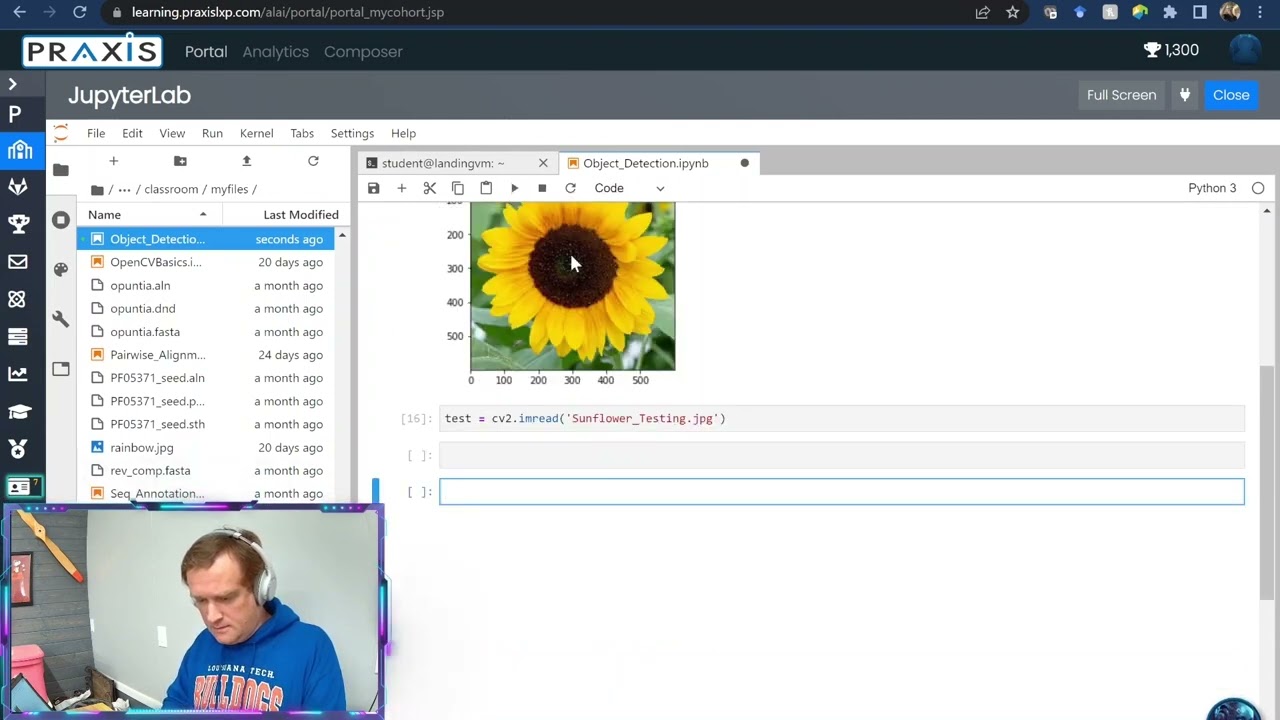 Python - Object Detection (OpenCV) - VDB Computational Biology