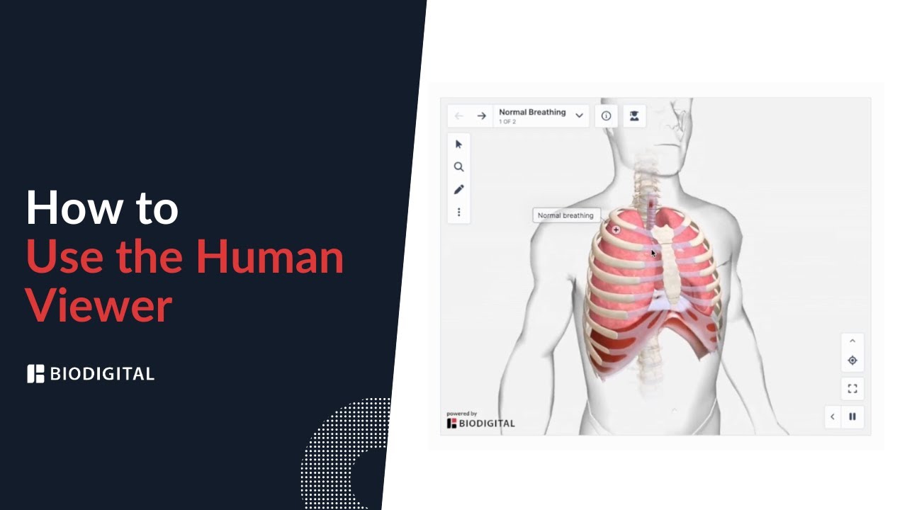 How to use the BioDigital Human Viewer