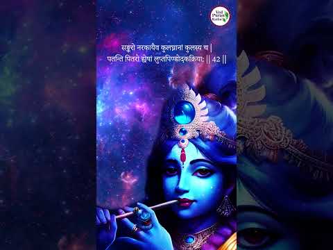 BhagavadGita Chapter 1 Sloka 42 Meaning Explained in 30 seconds