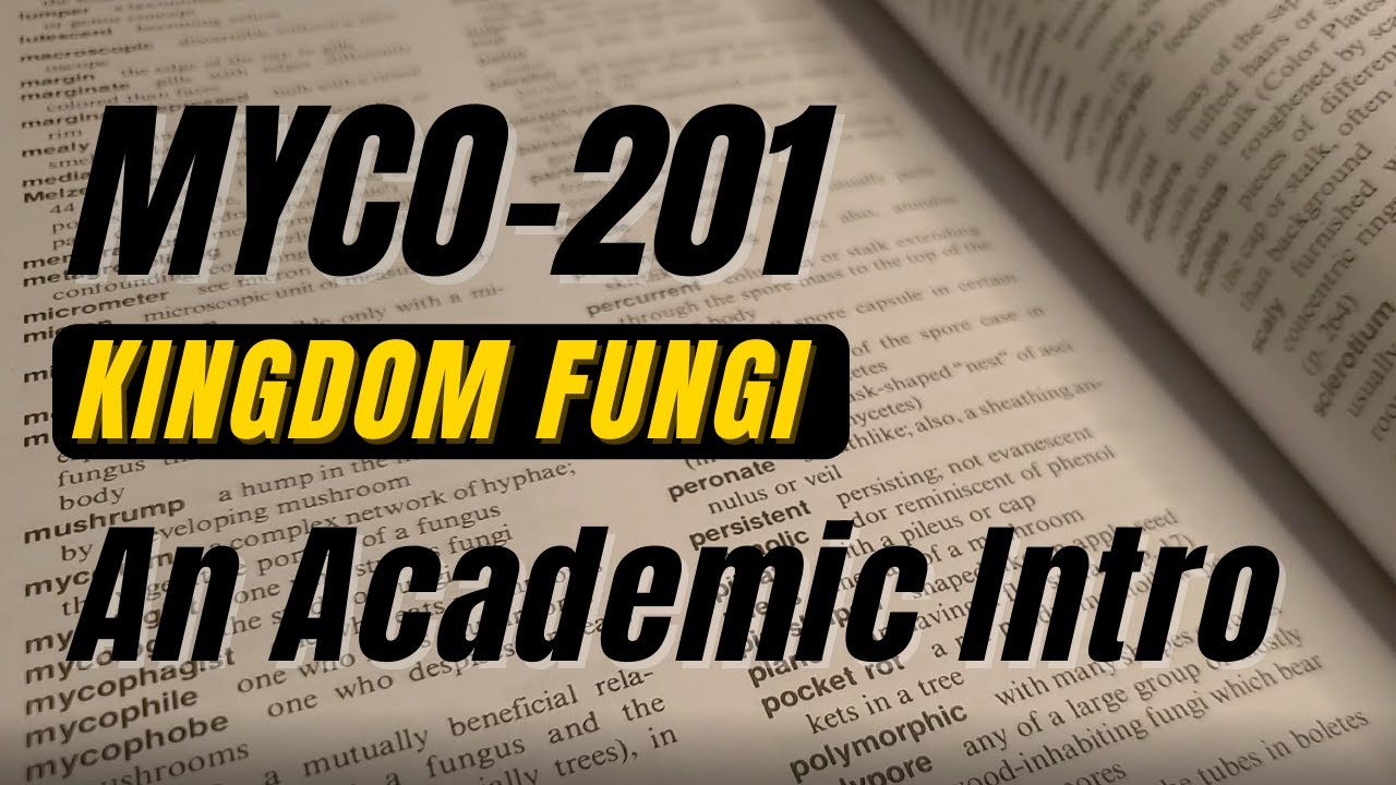 Myco-201: An Academic Analysis of Kingdom Fungi