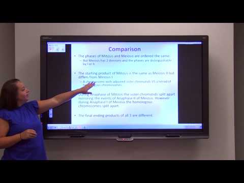 Comparison of Mitosis and Meiosis