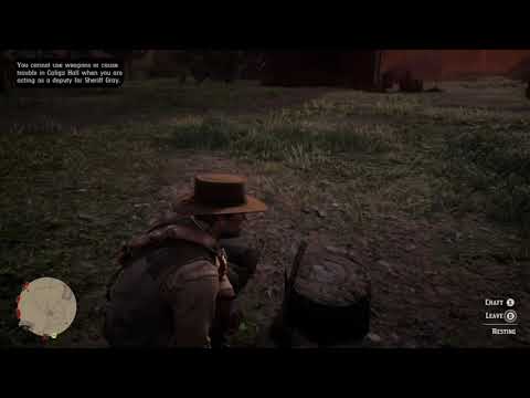 Red Dead Details: Starting Beau Gray Mission By Accident