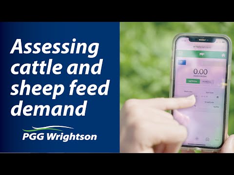 Assessing cattle and sheep feed demand I PGG Wrightson Tech Tips