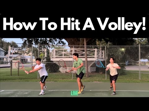 How To Hit A Volley | Learn Proper Volley Technique in This Live Tennis Lesson !