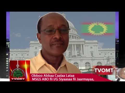 TVOMT: Gaafif Deebii Obboo Abbaa Caalaa Lataa, MSG ABO Waliin Goone ...