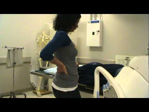 Shoulder Joint Inferosuperior Axial Projection « Medical Radiology ...