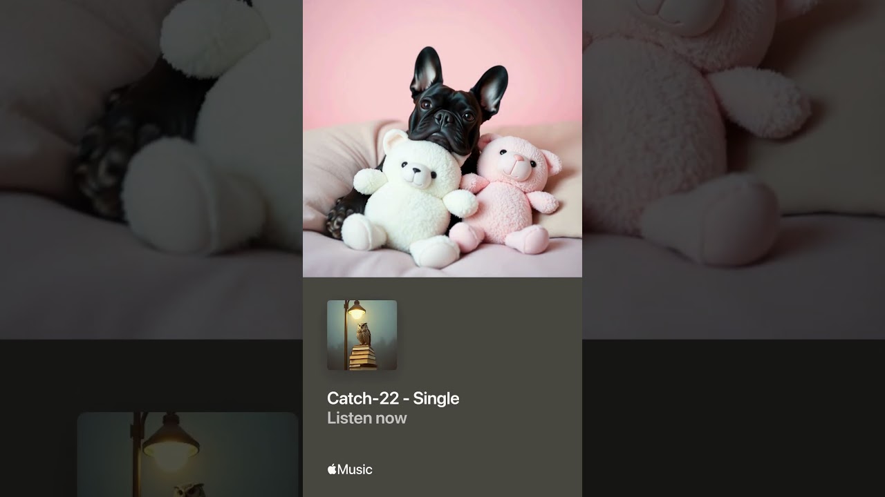 Catch-22 #spotify #applemusic #amazonmusic