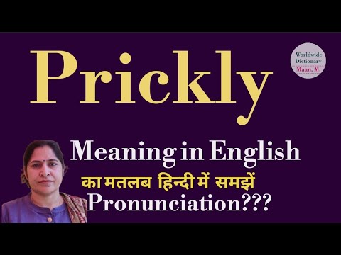prickly meaning l meaning of prickly l prickly ka hindi main matlab hota hai l vocabulary l