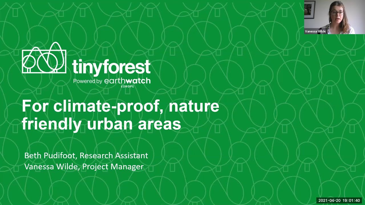 Tiny Forests - Presentation and Q&A