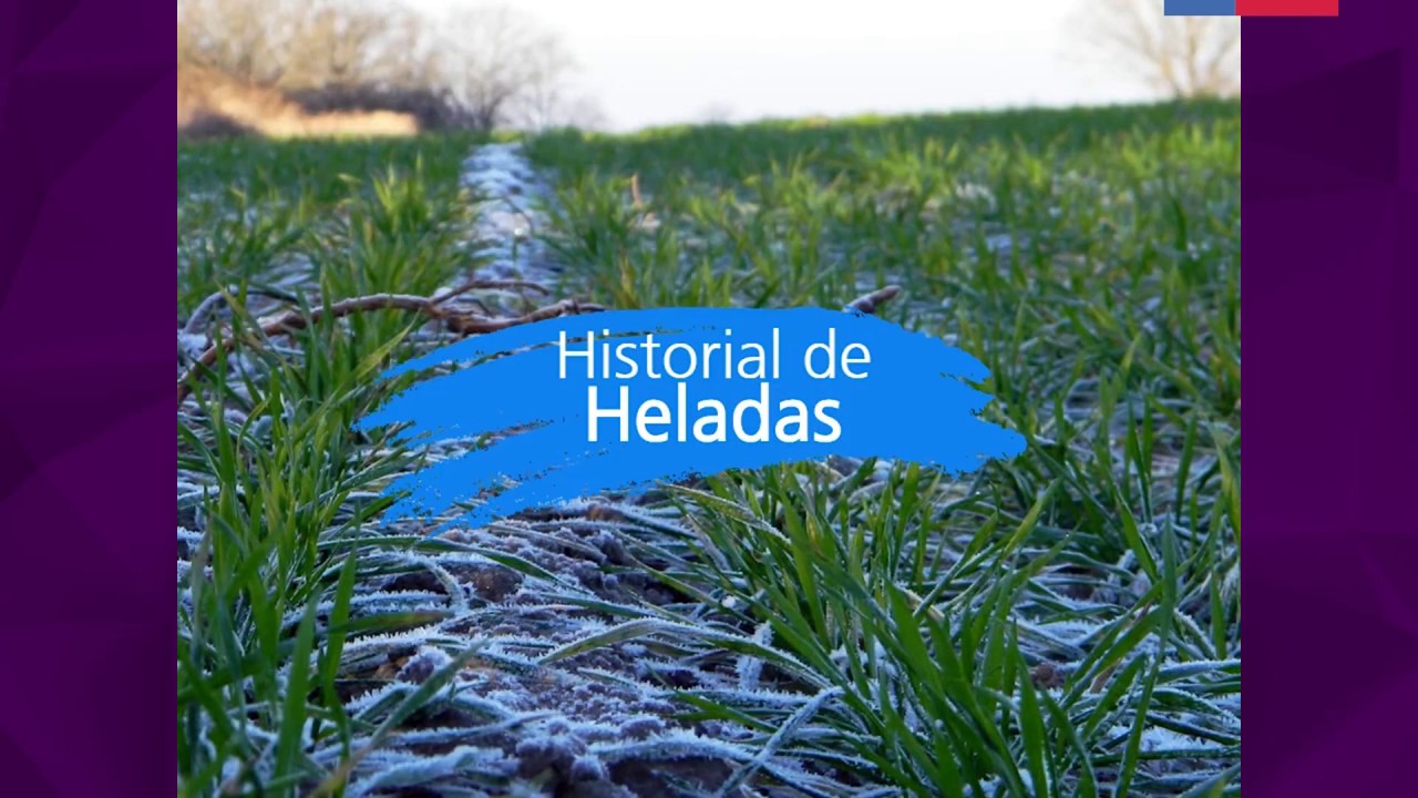Sistema de pronóstico de heladas – Chile Agrícola