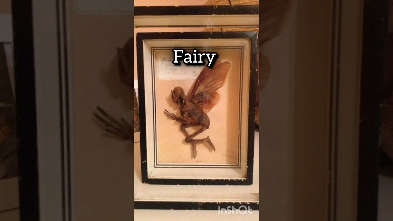 Mythical creatures caught on camera 📸 #short #ytshort