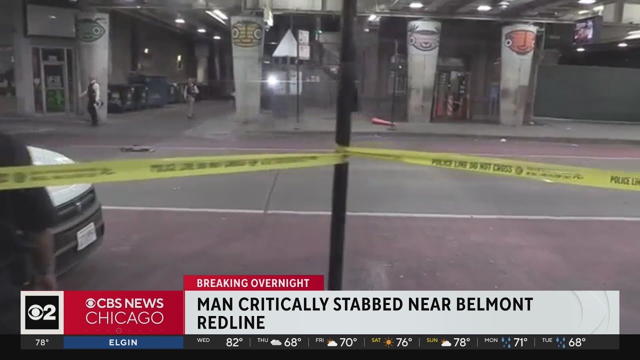 Man stabbed, critically injured during argument in Lakeview