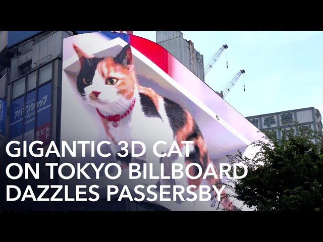 A giant 3D cat on Tokyo billboard dazzles passersby