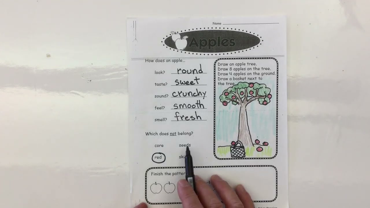 Apples worksheet page 1