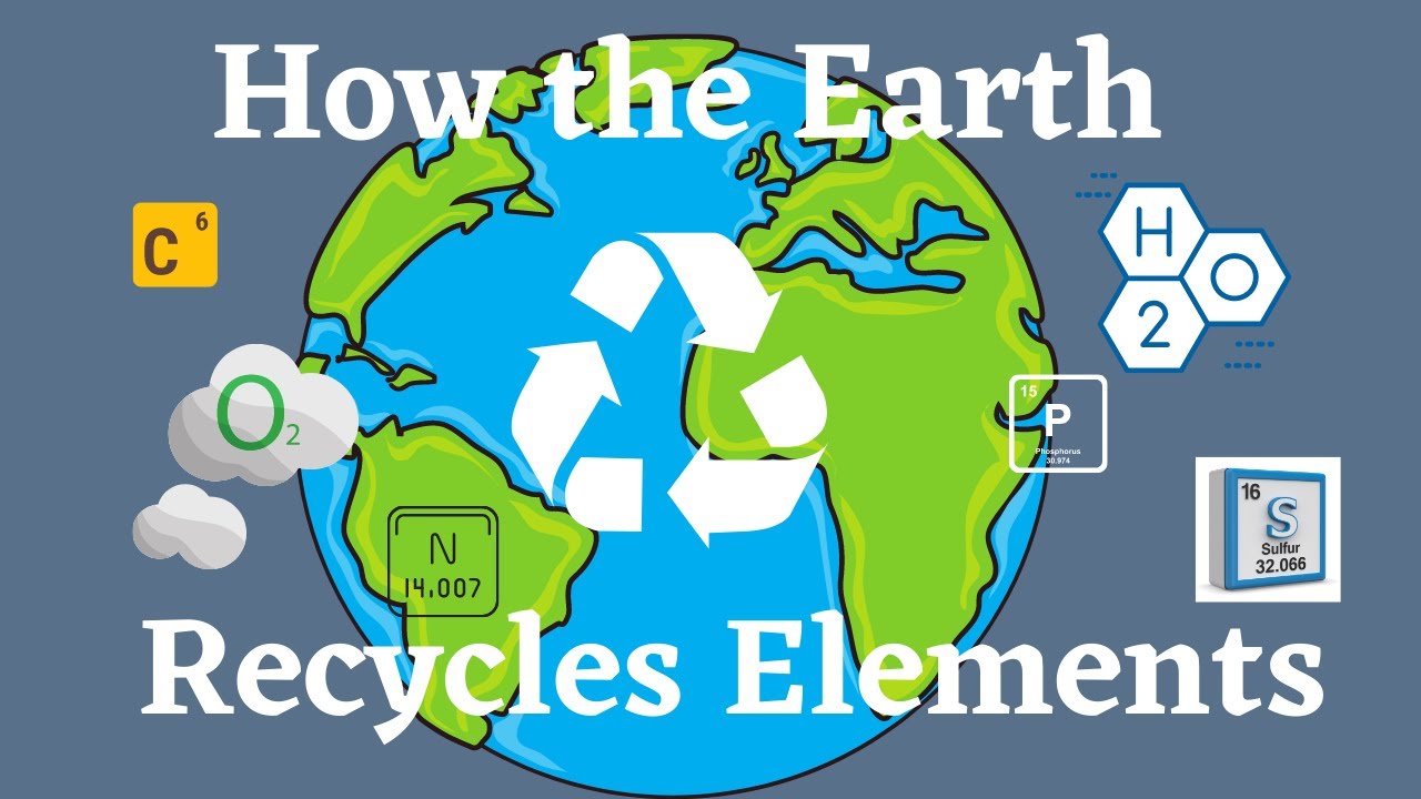 Understanding Biogeochemical Cycles: The Earth's Element Recycling ...