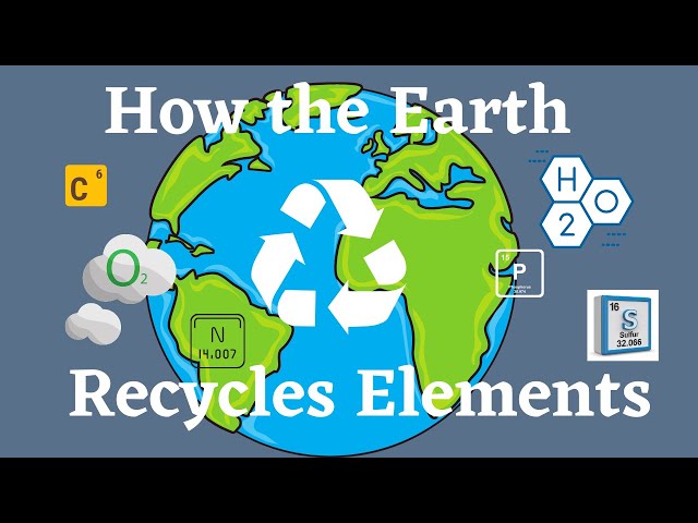 Understanding Biogeochemical Cycles: The Earth's Element Recycling ...