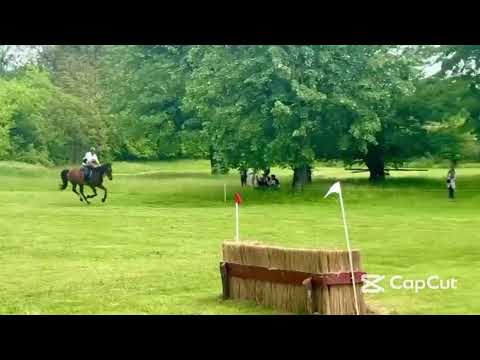 Cupa României. Adrian Gherghina cu calul Geronimo. Bogdan Sebeni cu calul Aiwan și Farewell San.