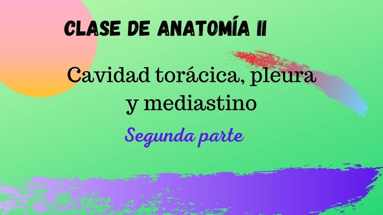Cavidad torácica, pleura y mediastino   2 parte